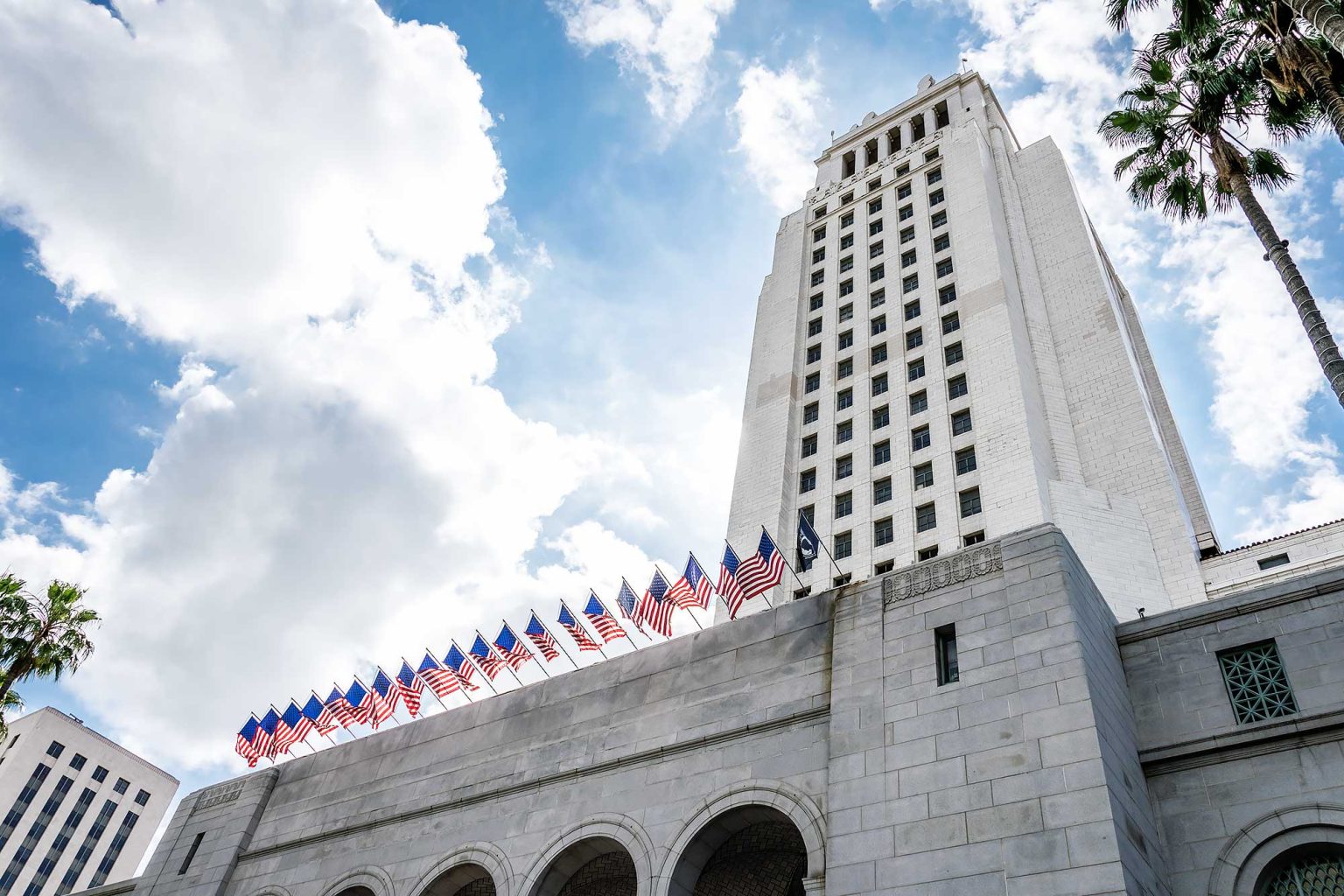 LA Critical Mass Joins SAFE and Advocates Across LA for the 4th Annual ...